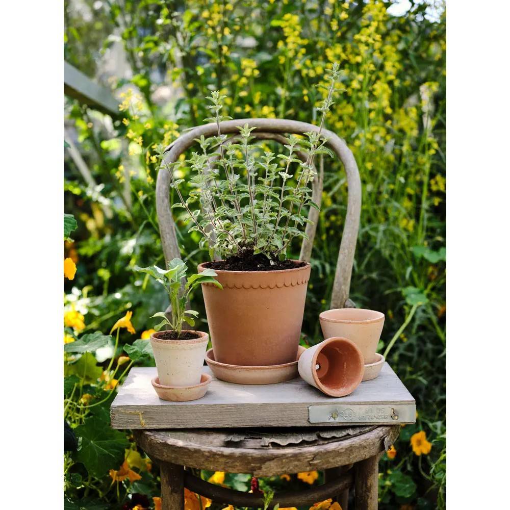 Pot en terre cuite Helena de Bergs Potter | Scandimag Déco