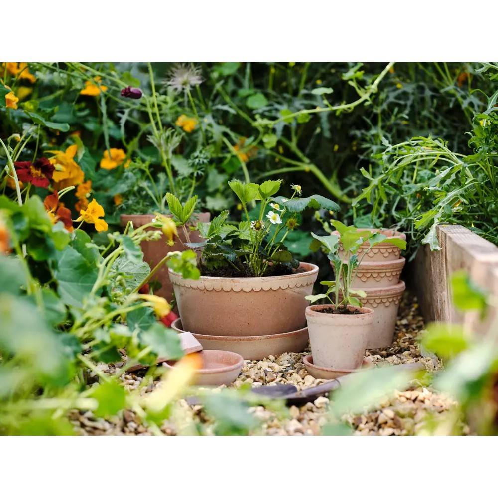 Pot en terre cuite Helena de Bergs Potter | Scandimag Déco